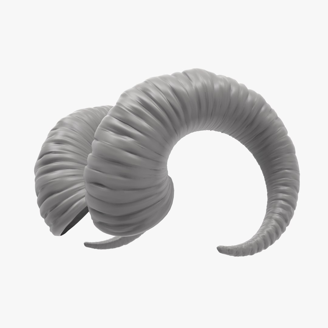 Horn Ram 3D Model - TurboSquid 1209789