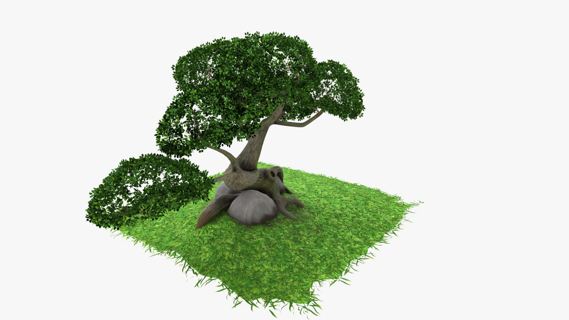 3D Old Tree - TurboSquid 2242059