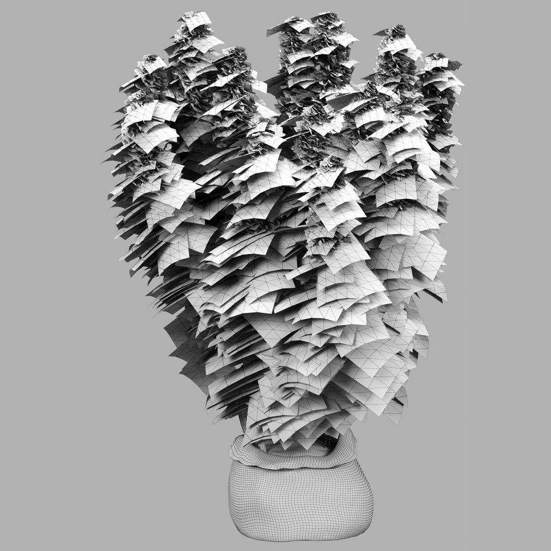 3D Model Flower Pack 253 CANNABIS - TurboSquid 1903889