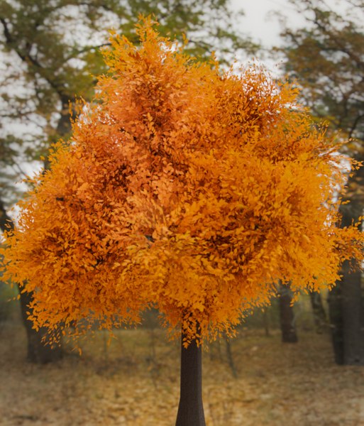Free Blender Tree Models | TurboSquid
