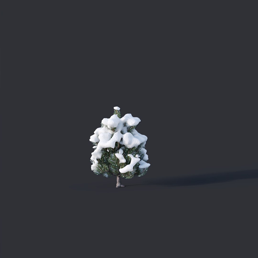 Pines Snow 3D Model - TurboSquid 1417635