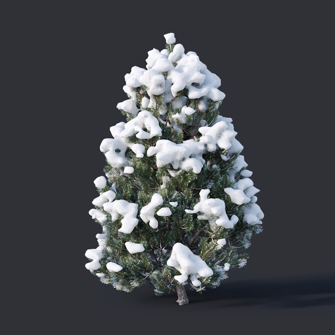 Pines Snow 3D Model - TurboSquid 1417635
