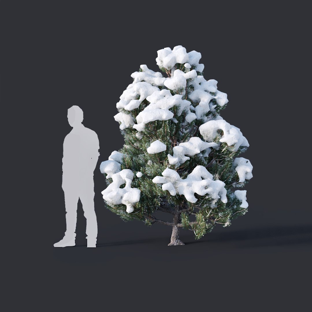 Pines Snow 3D Model - TurboSquid 1417635