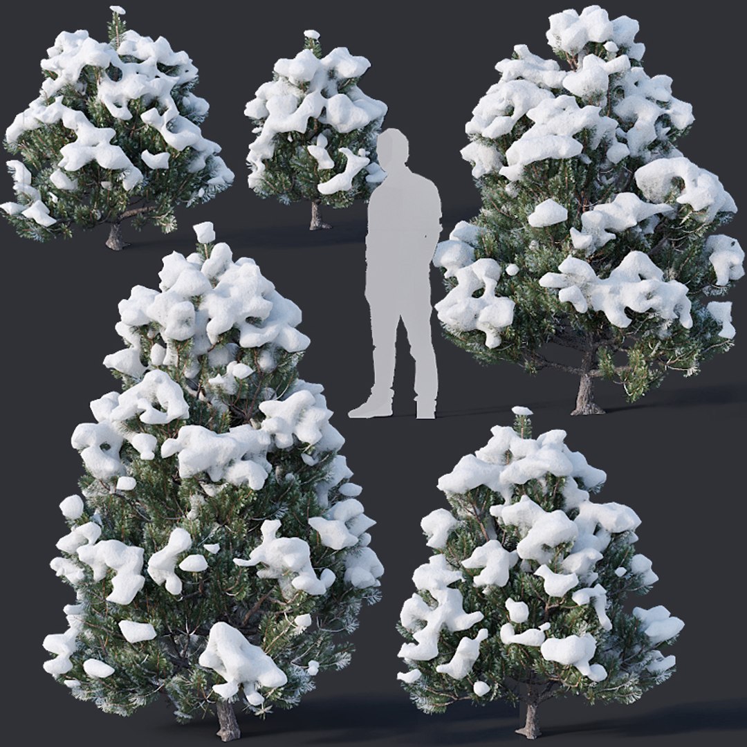 Pines Snow 3D Model - TurboSquid 1417635