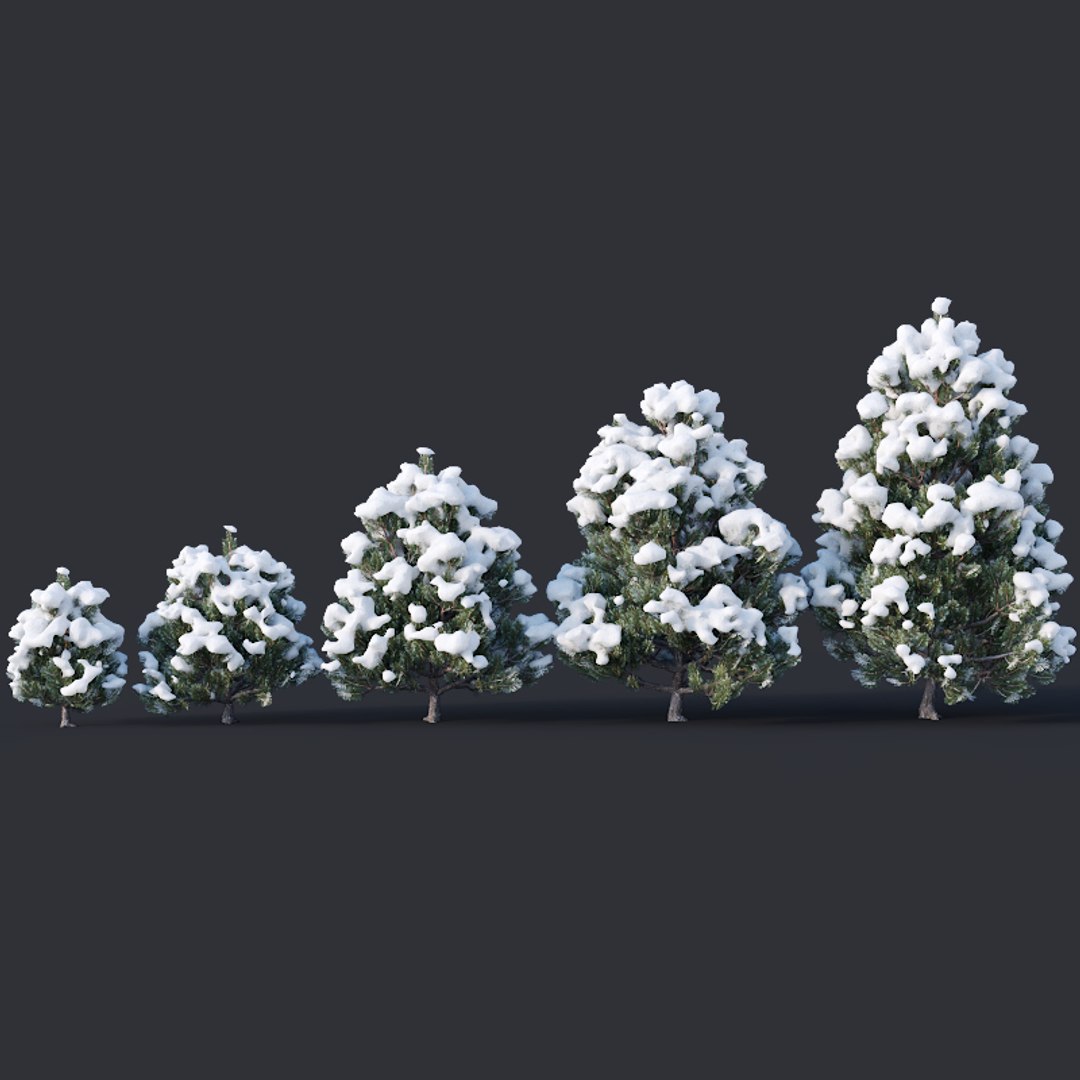 Pines Snow 3D Model - TurboSquid 1417635