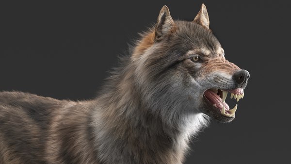 3D realistic wolf - TurboSquid 1444288