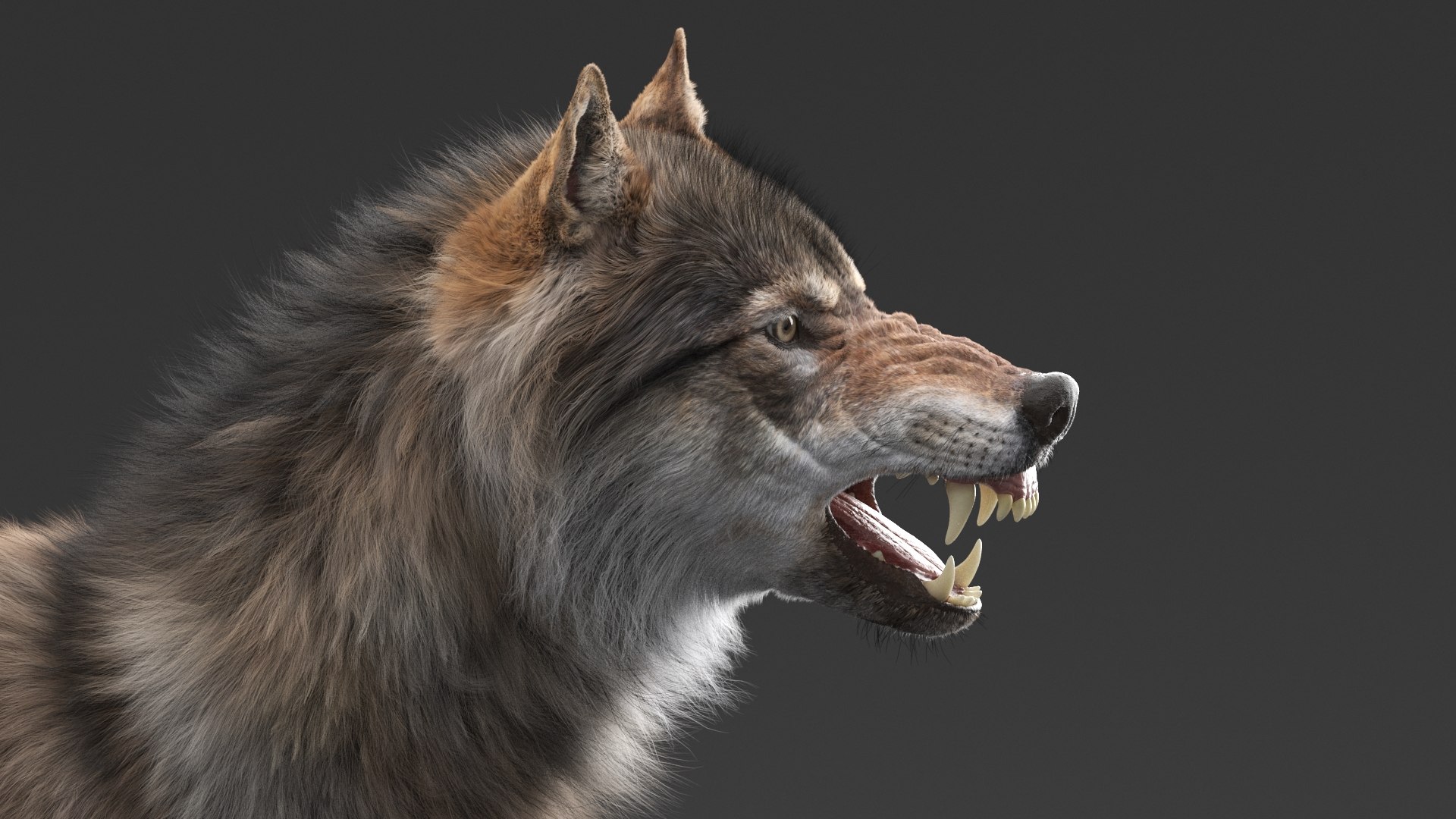 3D Realistic Wolf - TurboSquid 1444288