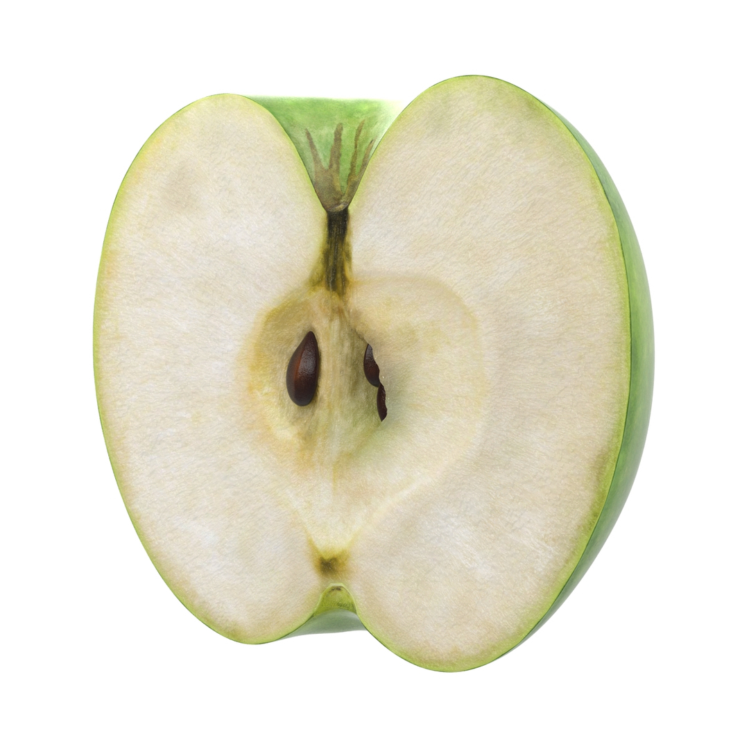 Cross section fruits 4 3D model - TurboSquid 1235895