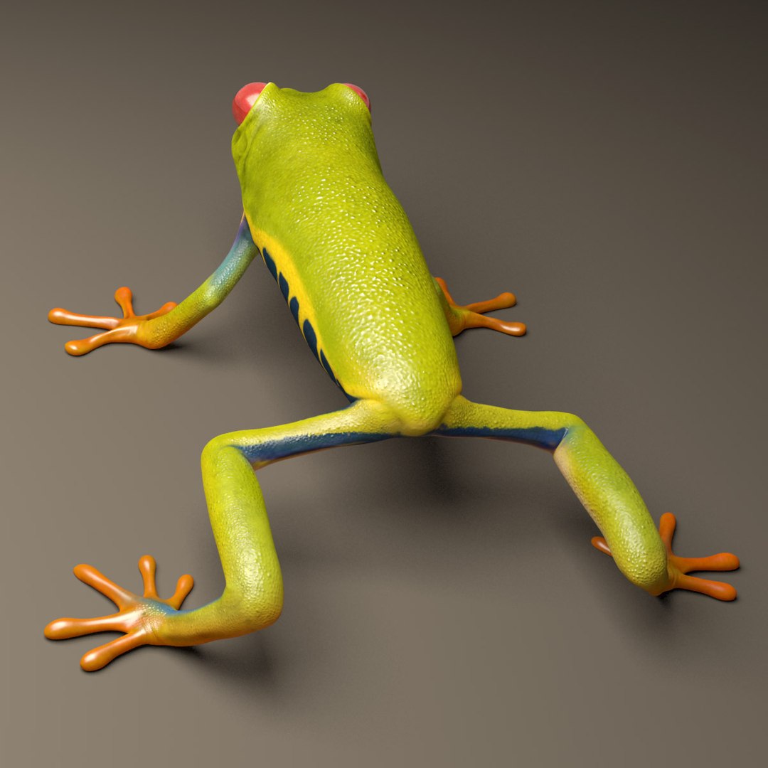 Red-eyed Tree Frog Eye 3d Max