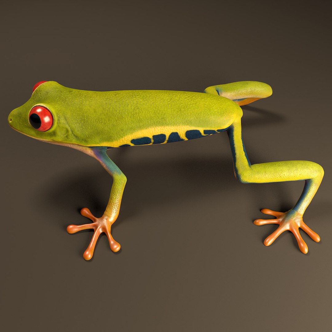 Red-eyed Tree Frog Eye 3d Max