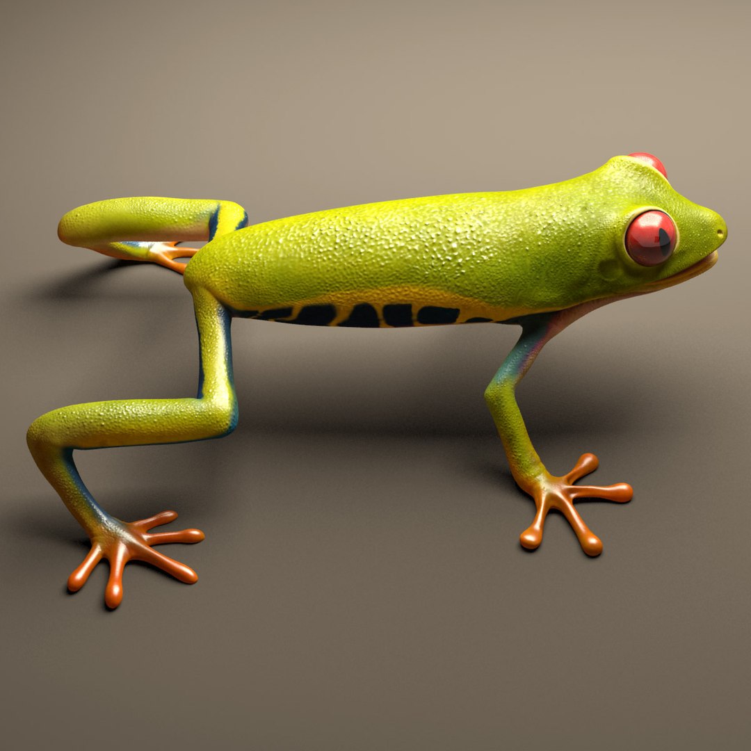 Red-eyed Tree Frog Eye 3d Max