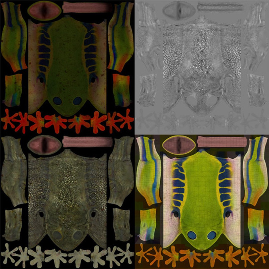 Red-eyed Tree Frog Eye 3d Max