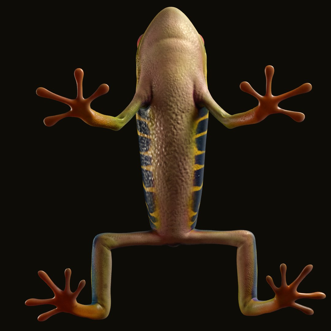 Red-eyed Tree Frog Eye 3d Max