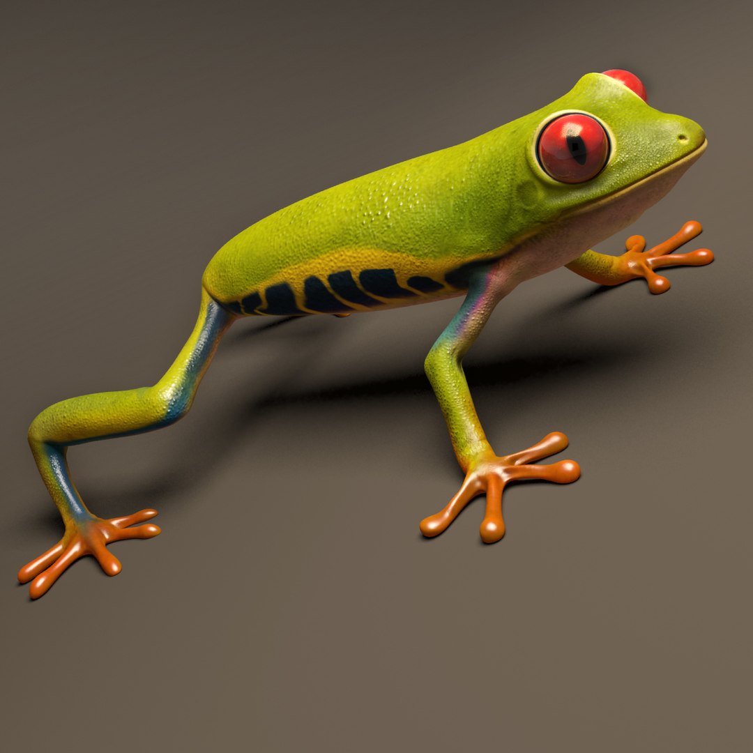Red-eyed Tree Frog Eye 3d Max