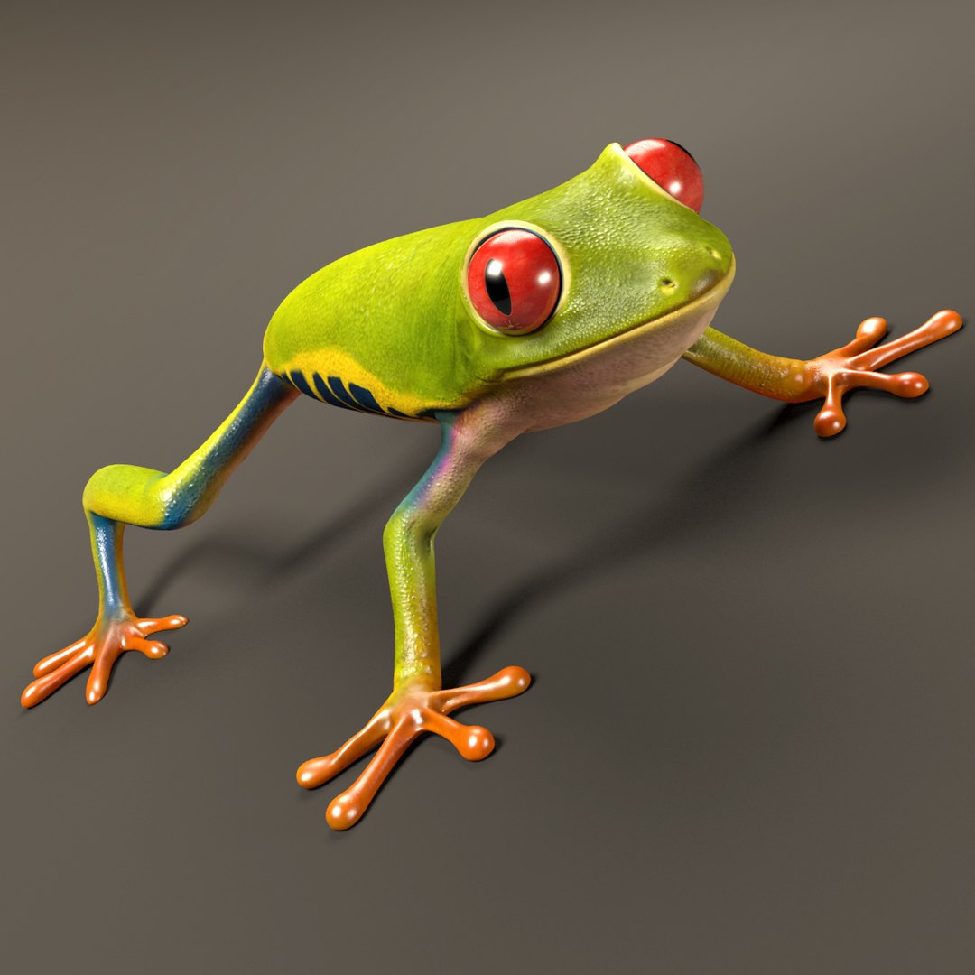 Red-eyed Tree Frog Eye 3d Max