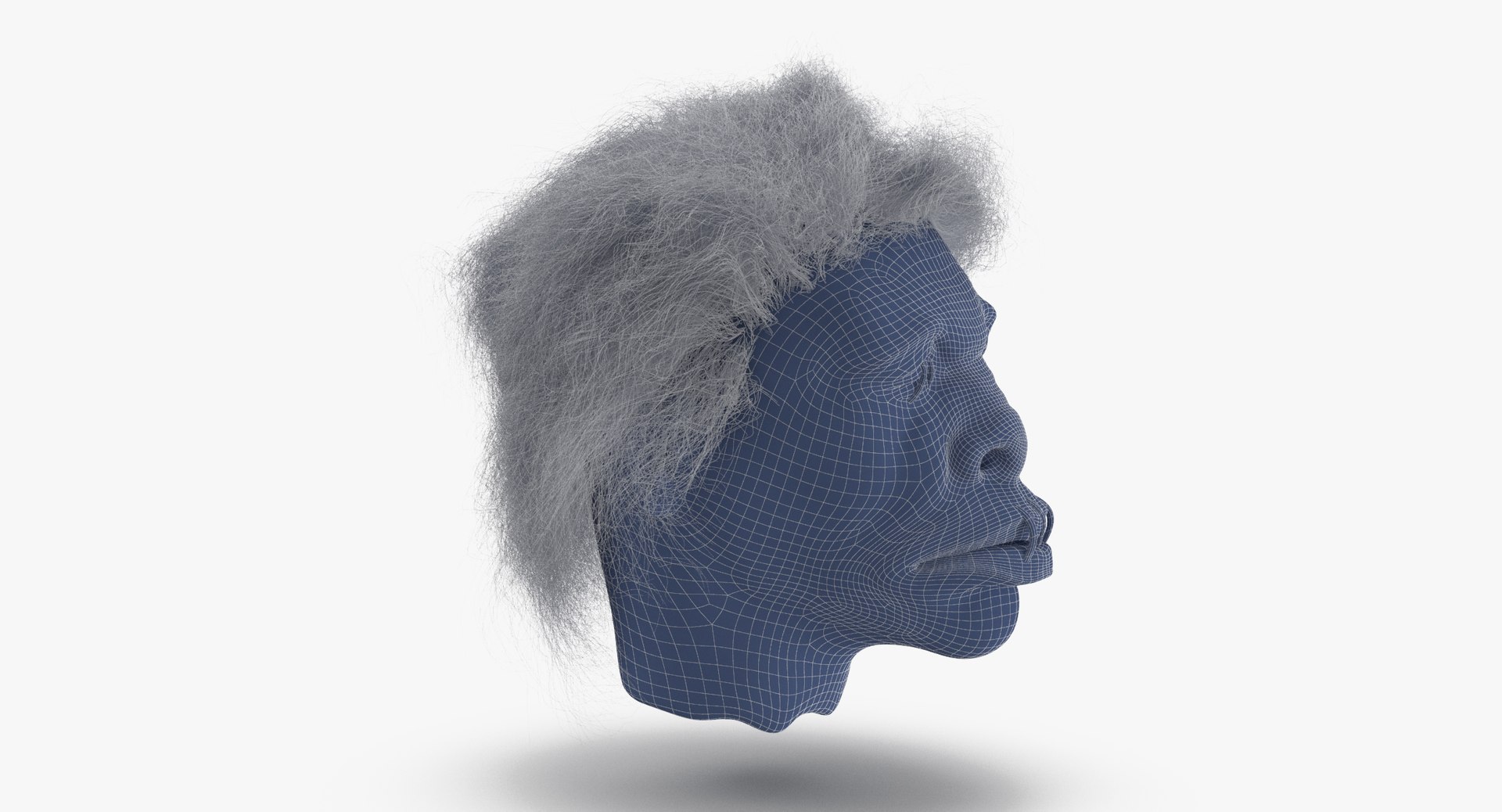 3d Shrunken Head 03
