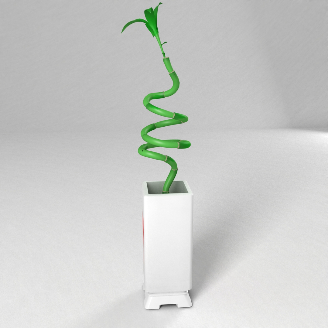 Max Lucky Bamboo Luck