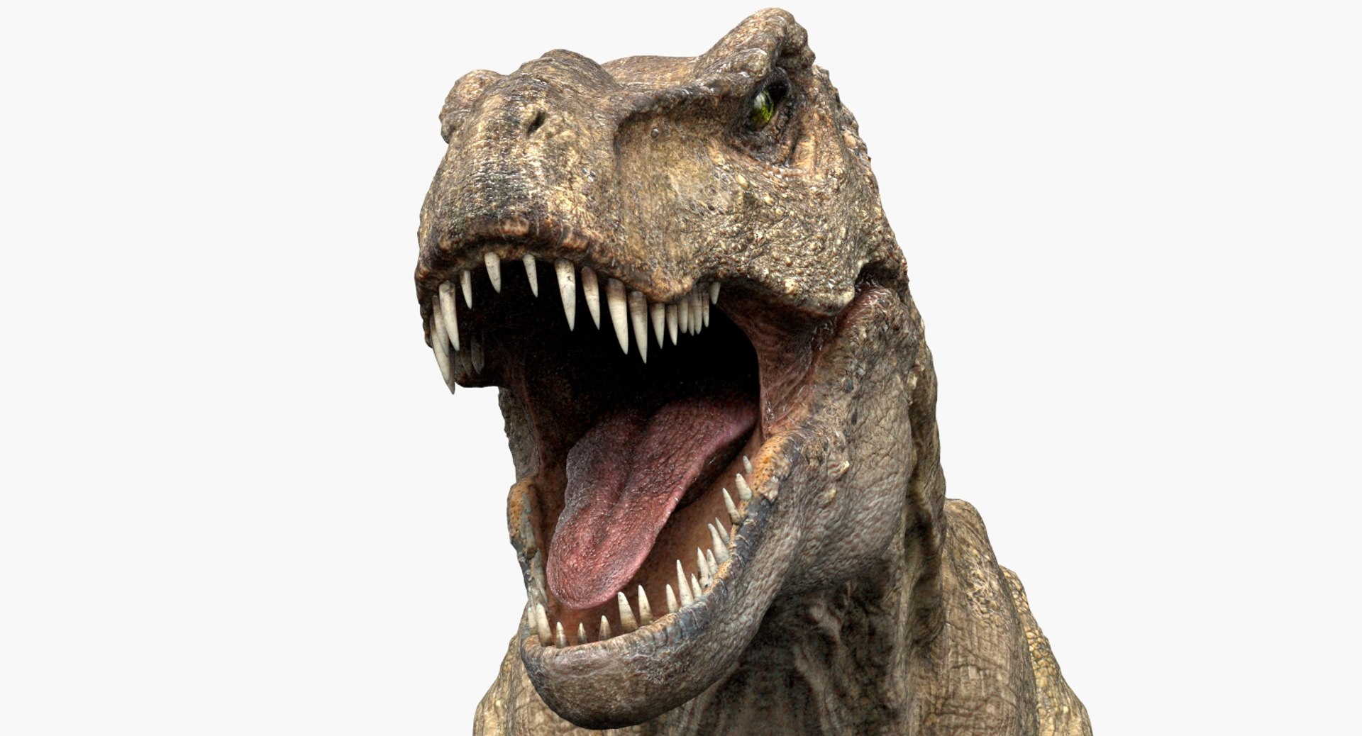 3d model v-ray rigged rex