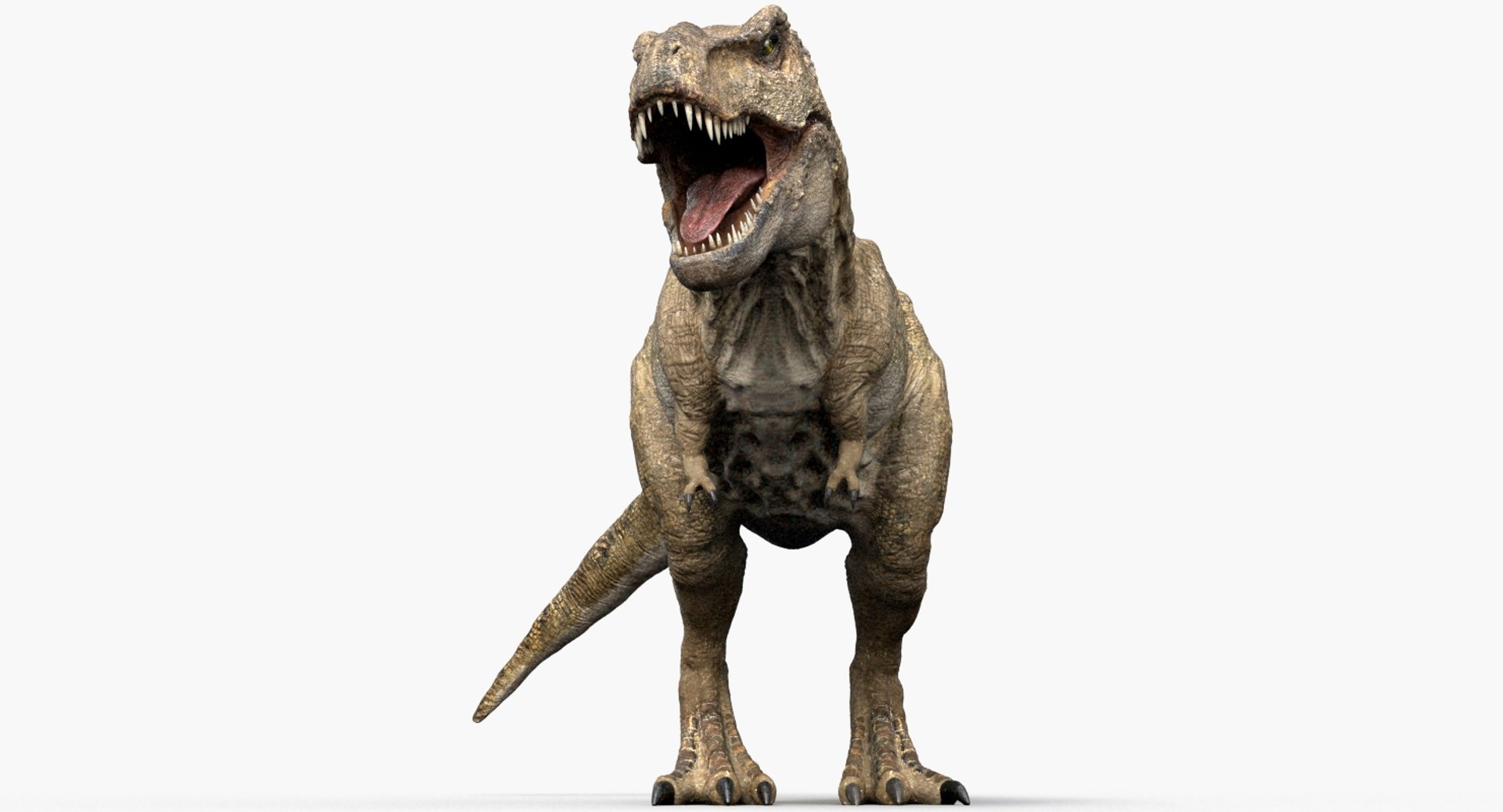 3d model v-ray rigged rex