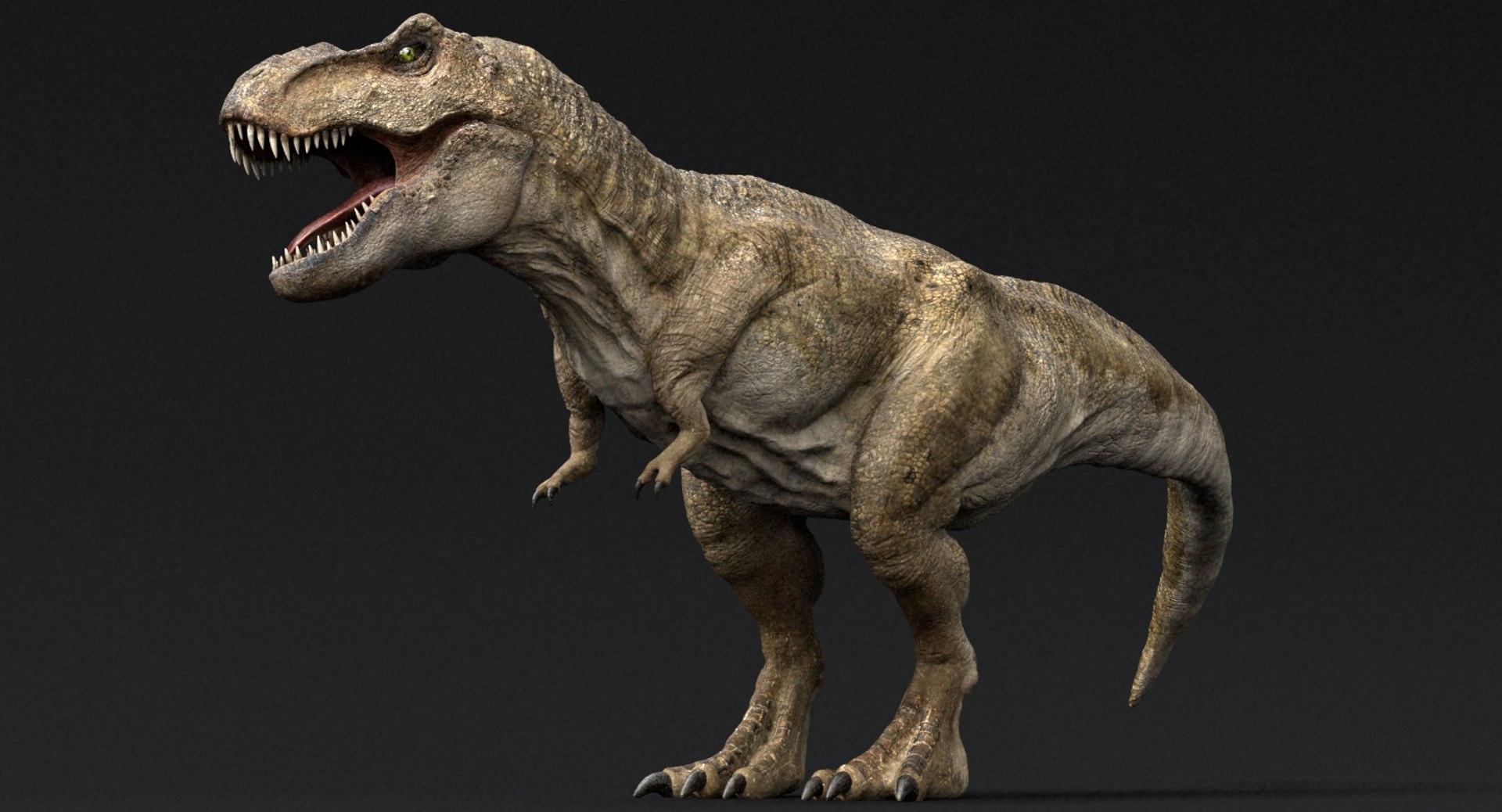 3d model v-ray rigged rex