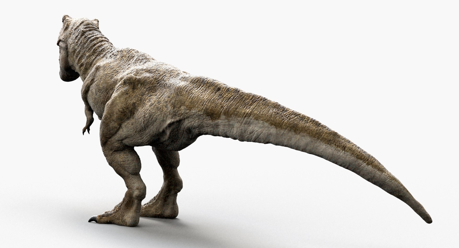 3d model v-ray rigged rex
