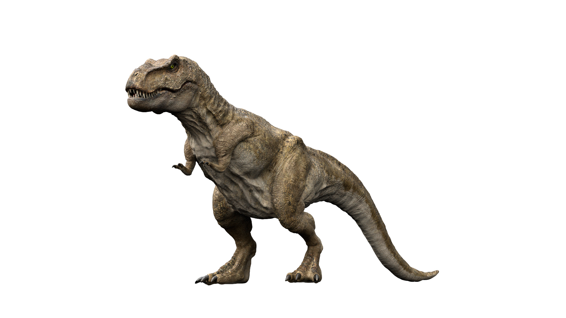 3d Model V-ray Rigged Rex