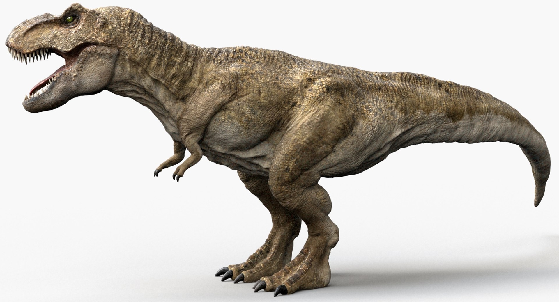 3d model v-ray rigged rex