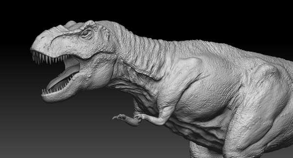 3d model v-ray rigged rex