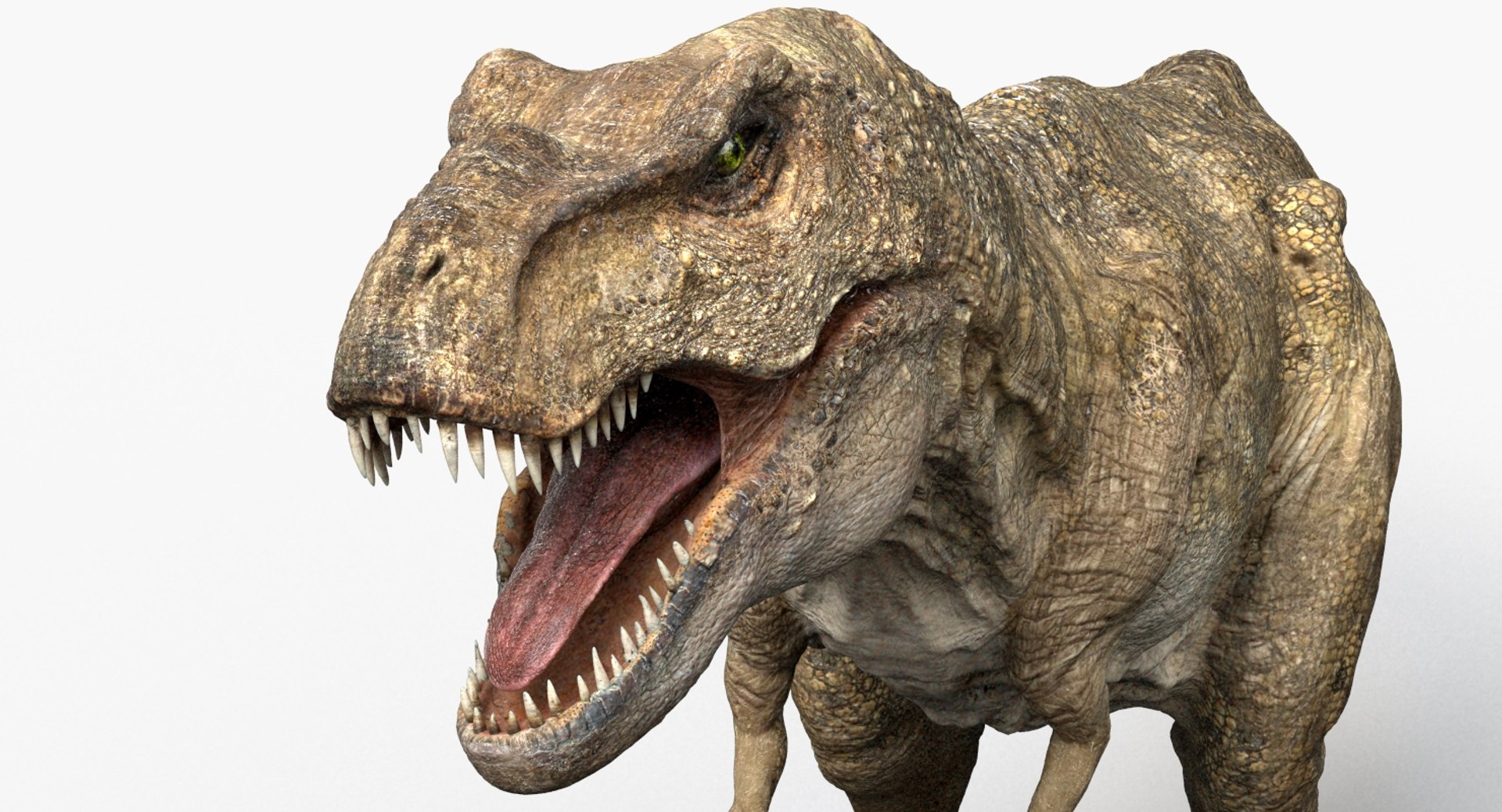 3d model v-ray rigged rex