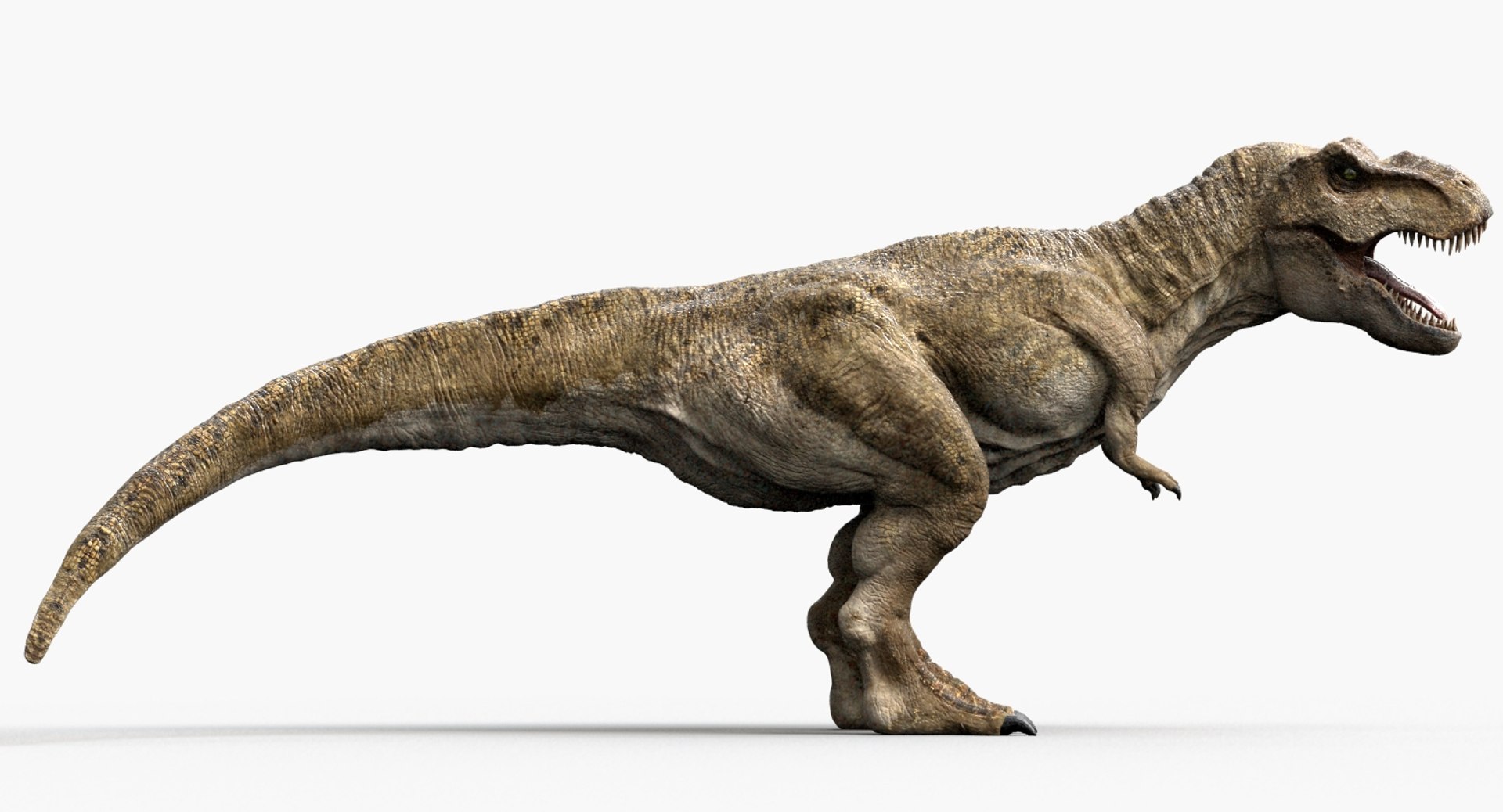3d model v-ray rigged rex