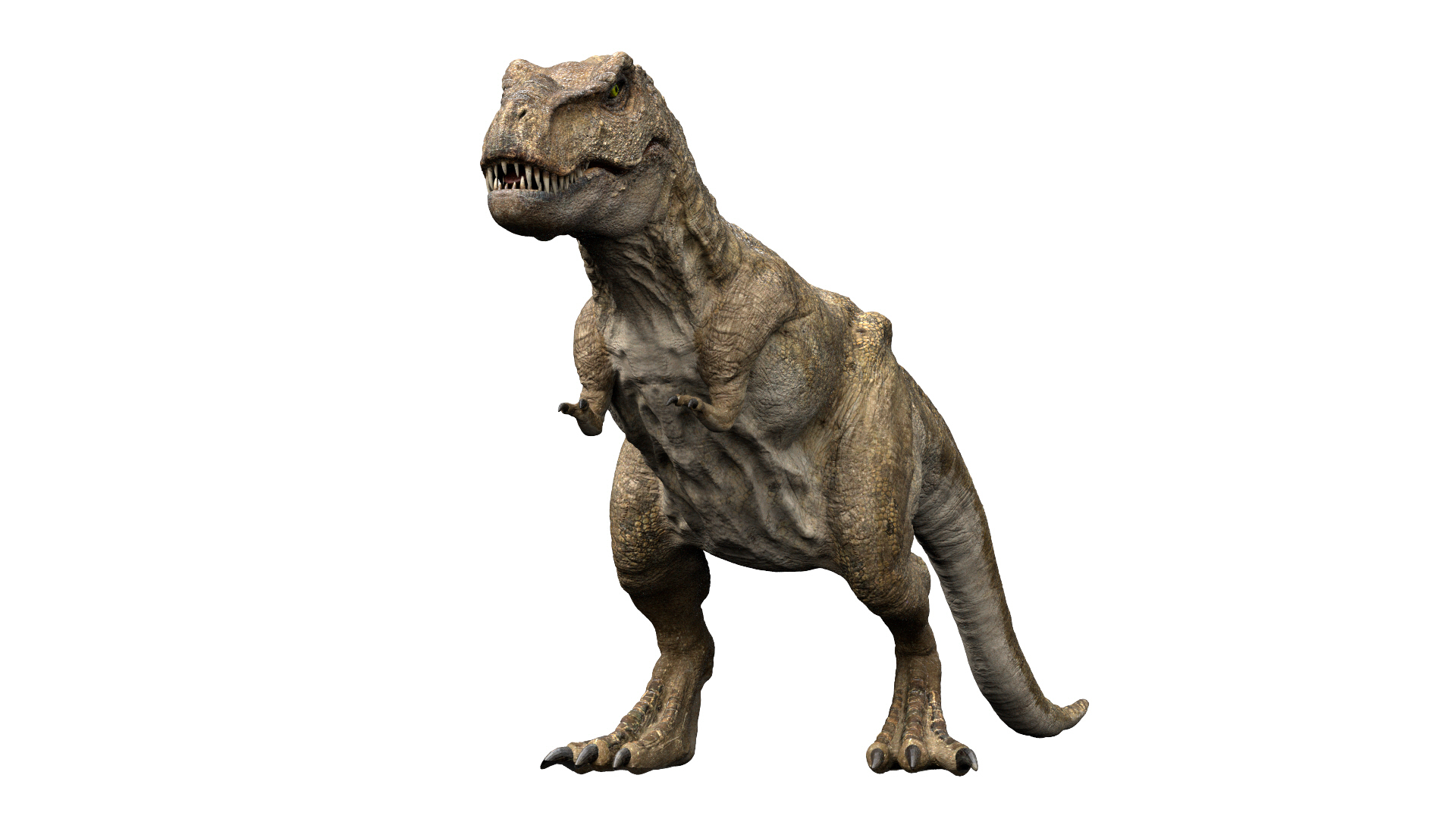 3d Model V-ray Rigged Rex