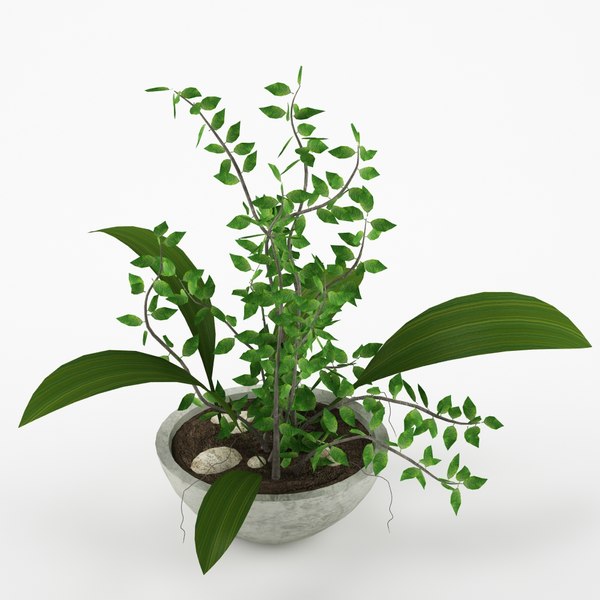 plant max8 3d max