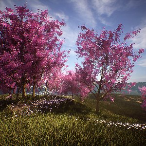 Spring And Summer Cherry Trees 3D Model - TurboSquid 2037804