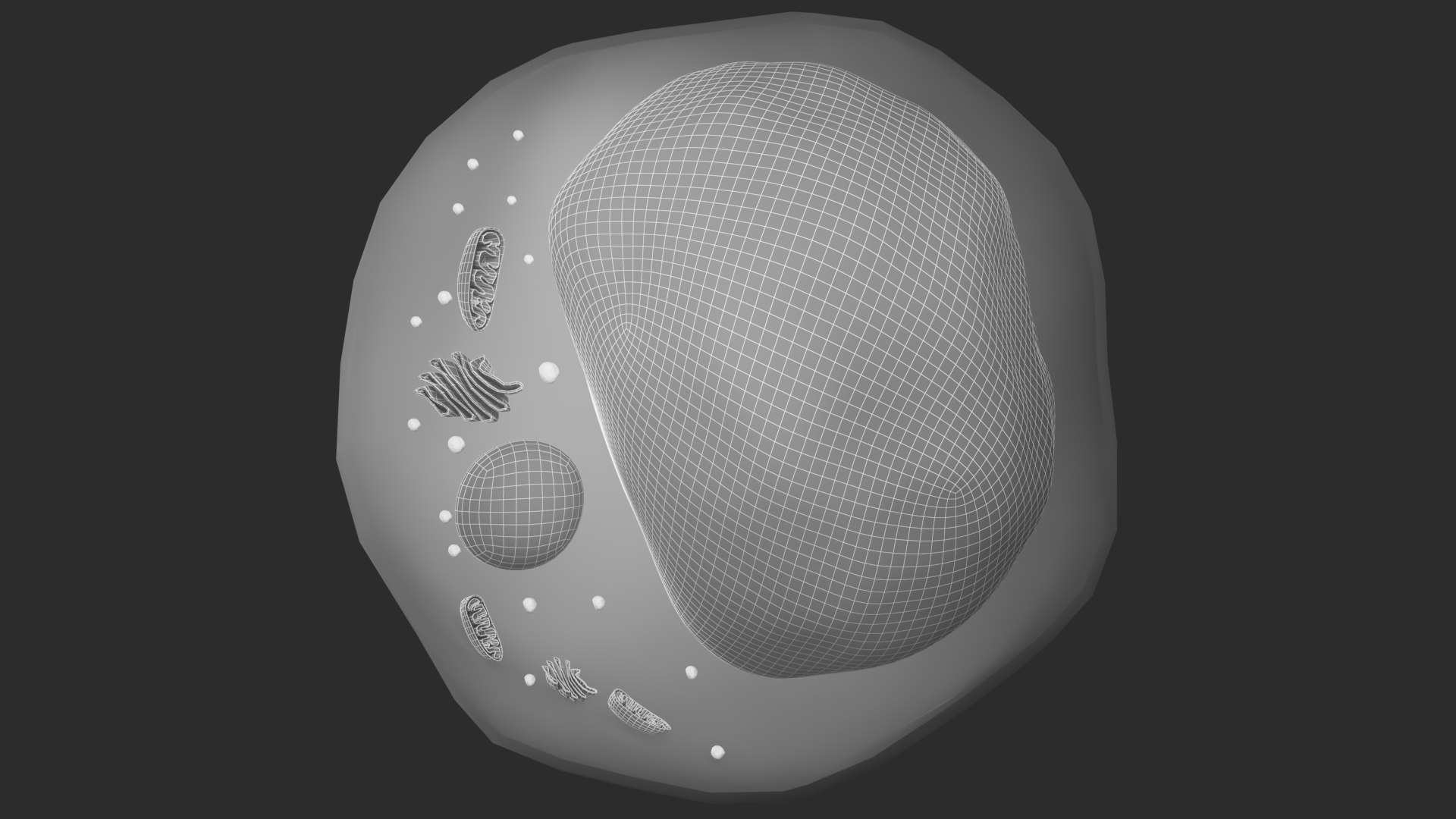 White Fat Cell 3D Model - TurboSquid 2251865