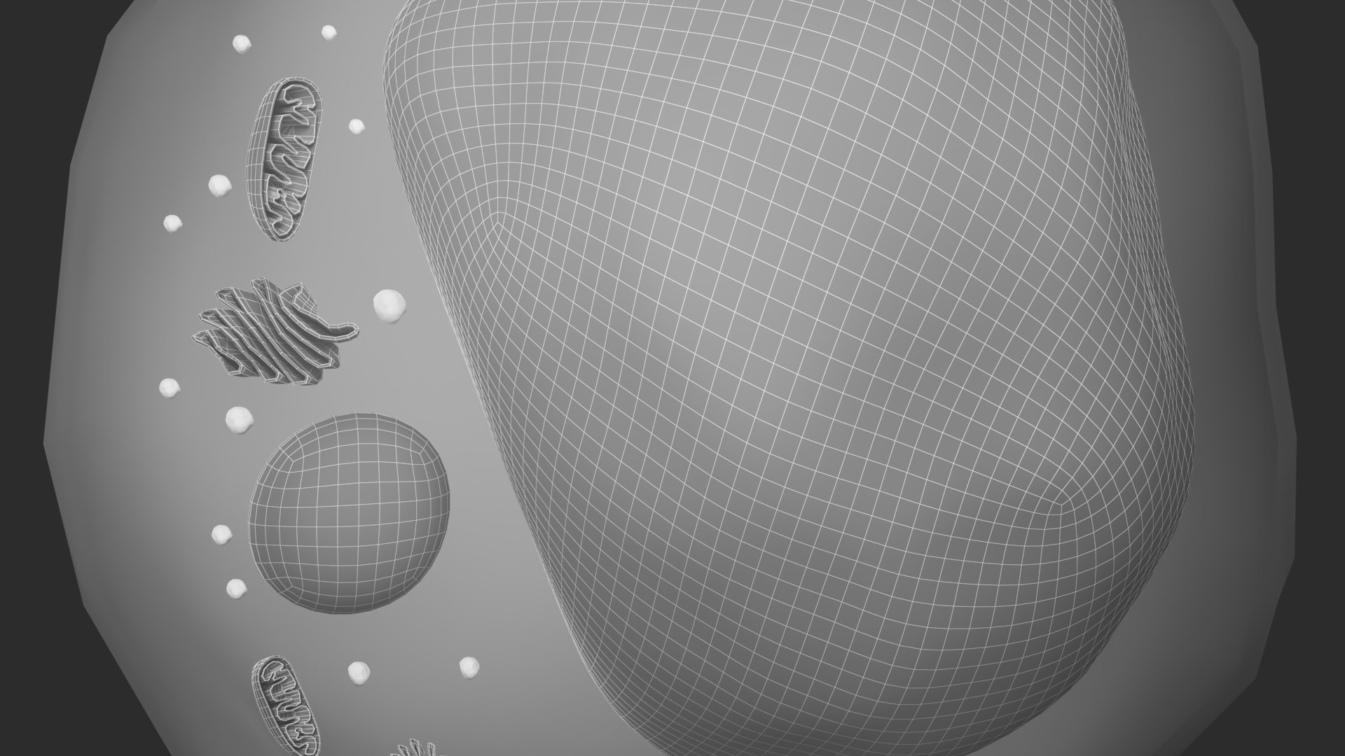 White Fat Cell 3D Model - TurboSquid 2251865
