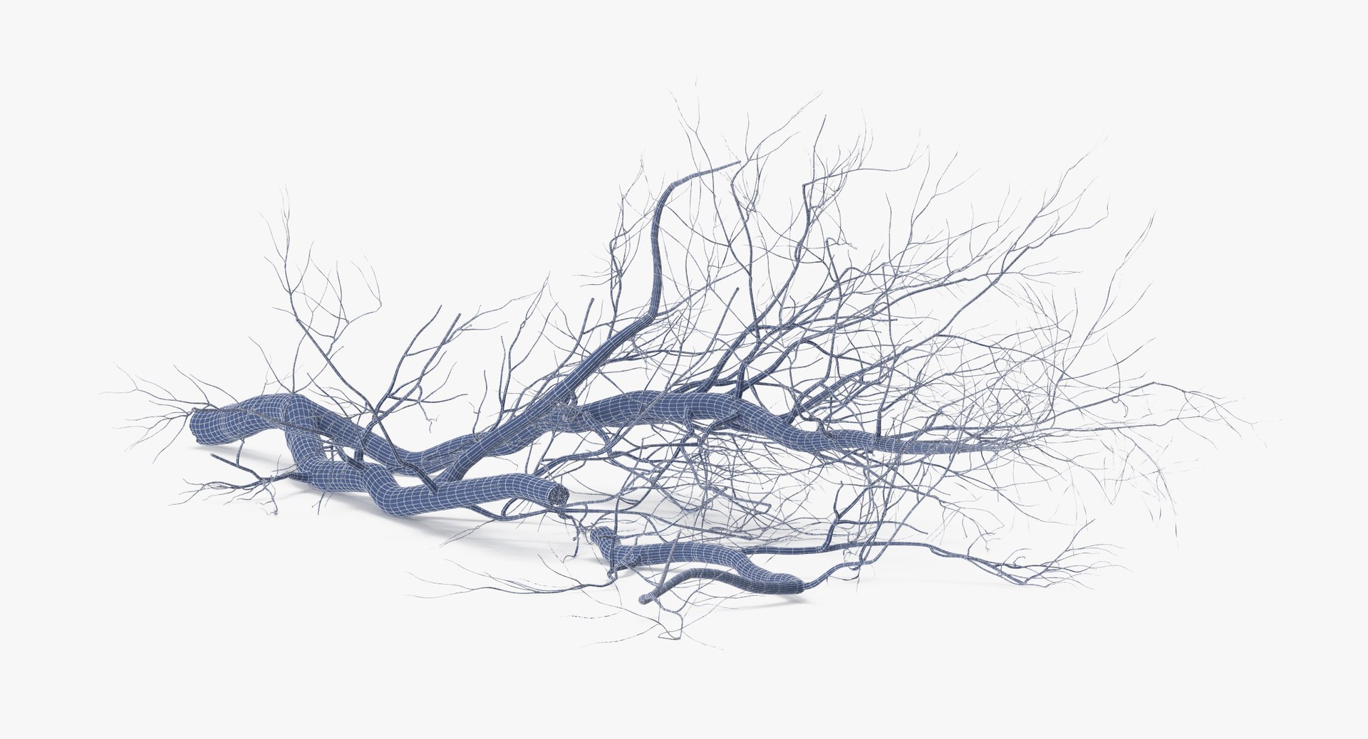 fallen logs birch 01 3d model