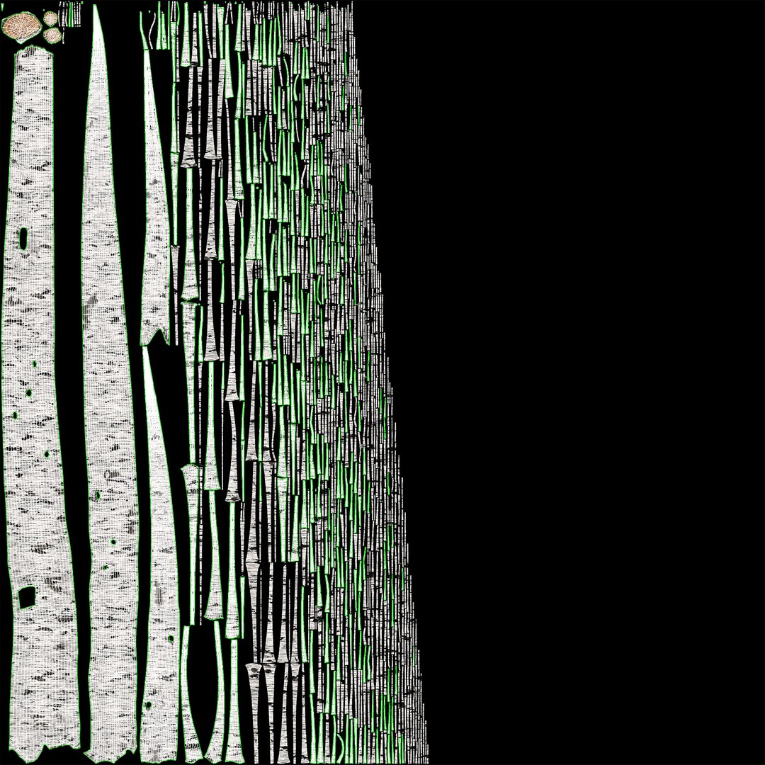 fallen logs birch 01 3d model