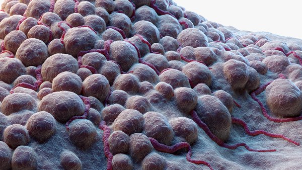 3D Tumor Microenvironment - TurboSquid 1922512