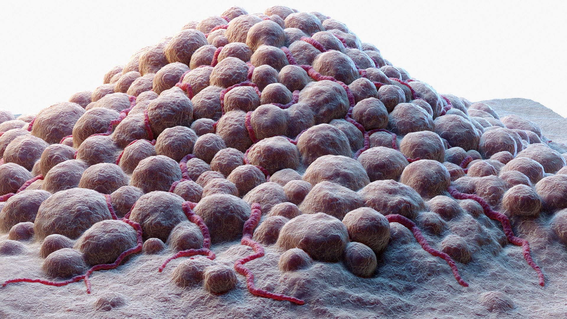 3D Tumor Microenvironment - TurboSquid 1922512