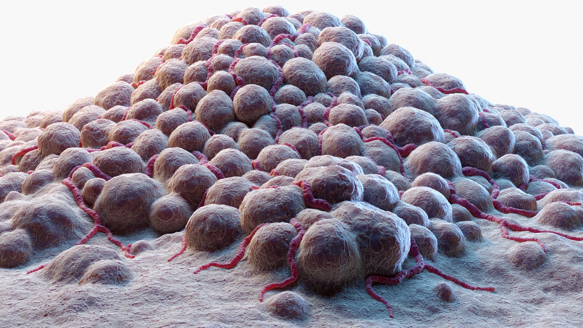 3D Tumor Microenvironment - TurboSquid 1922512