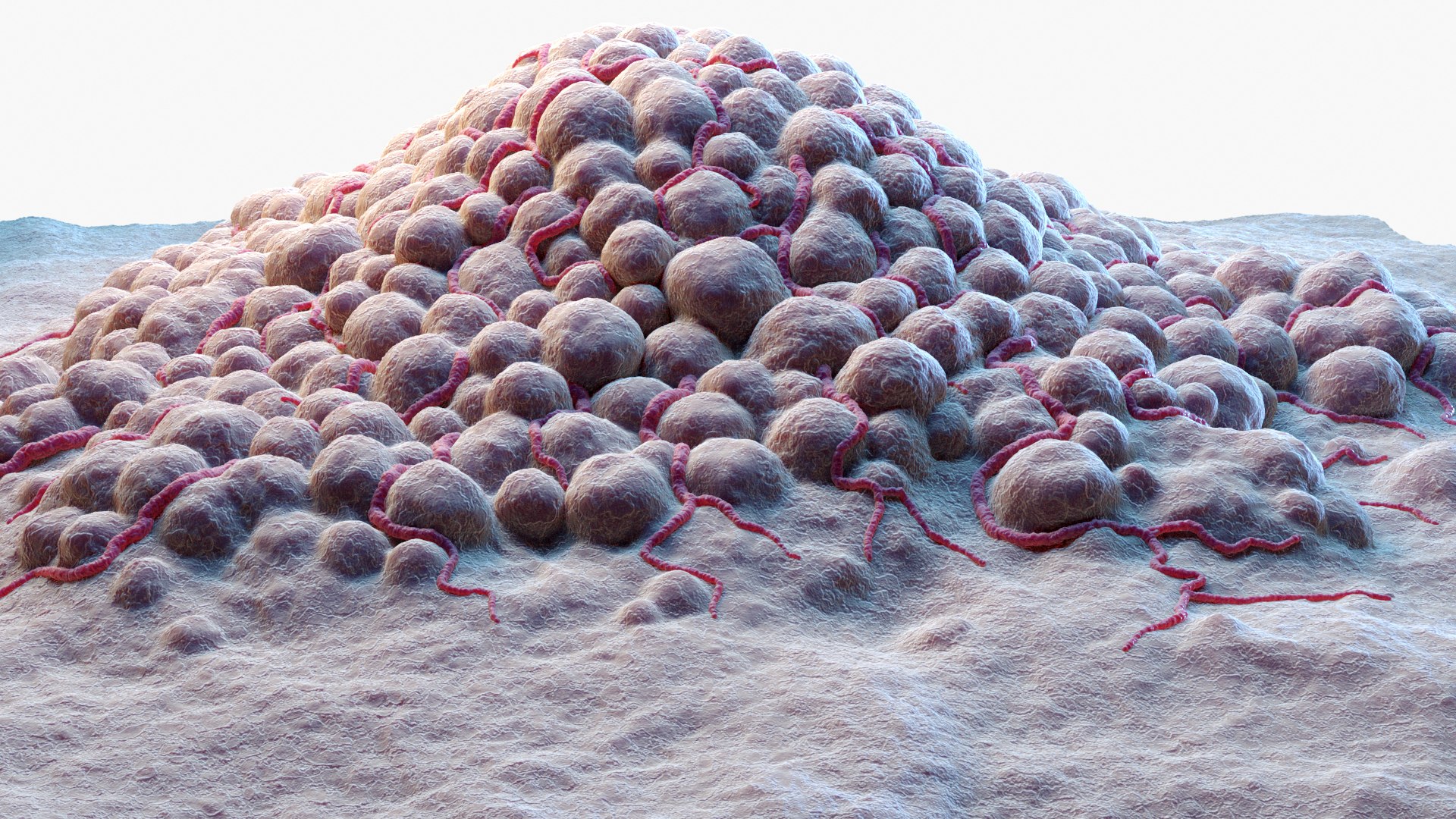 3D Tumor Microenvironment - TurboSquid 1922512