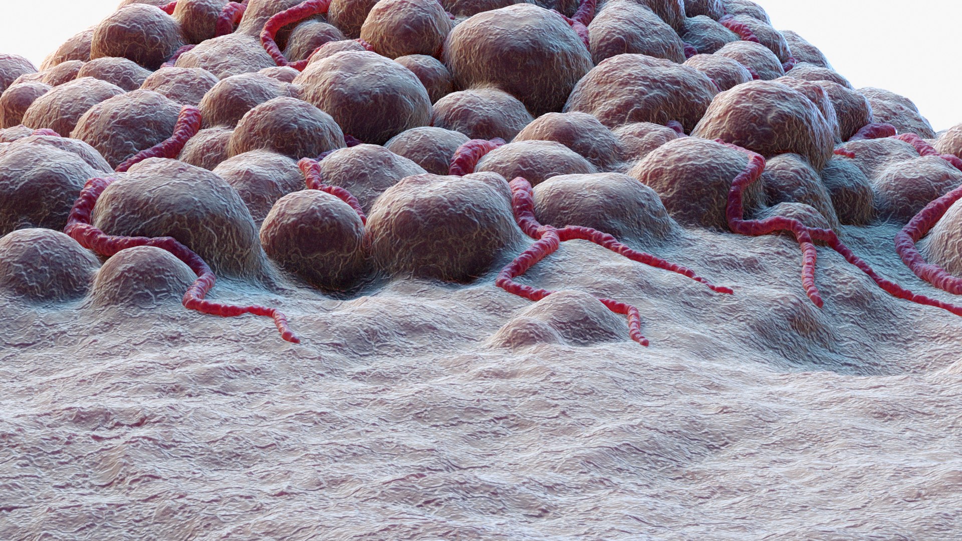 3D Tumor Microenvironment - TurboSquid 1922512