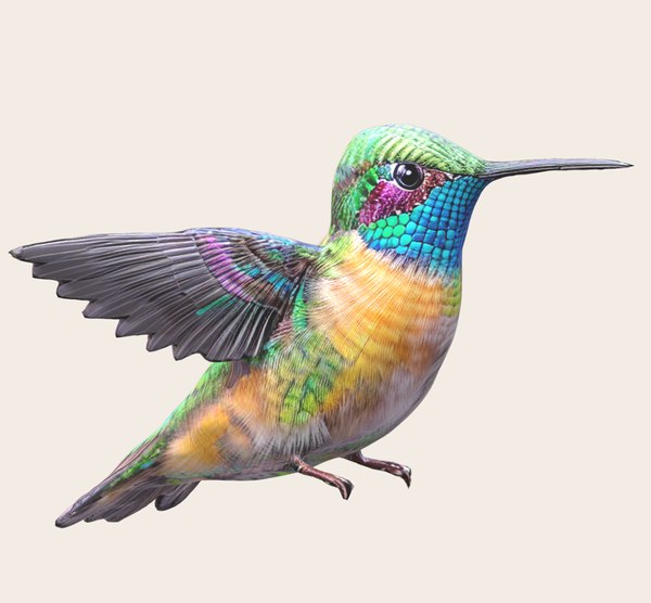 modelo 3d colibrí - TurboSquid 2198462