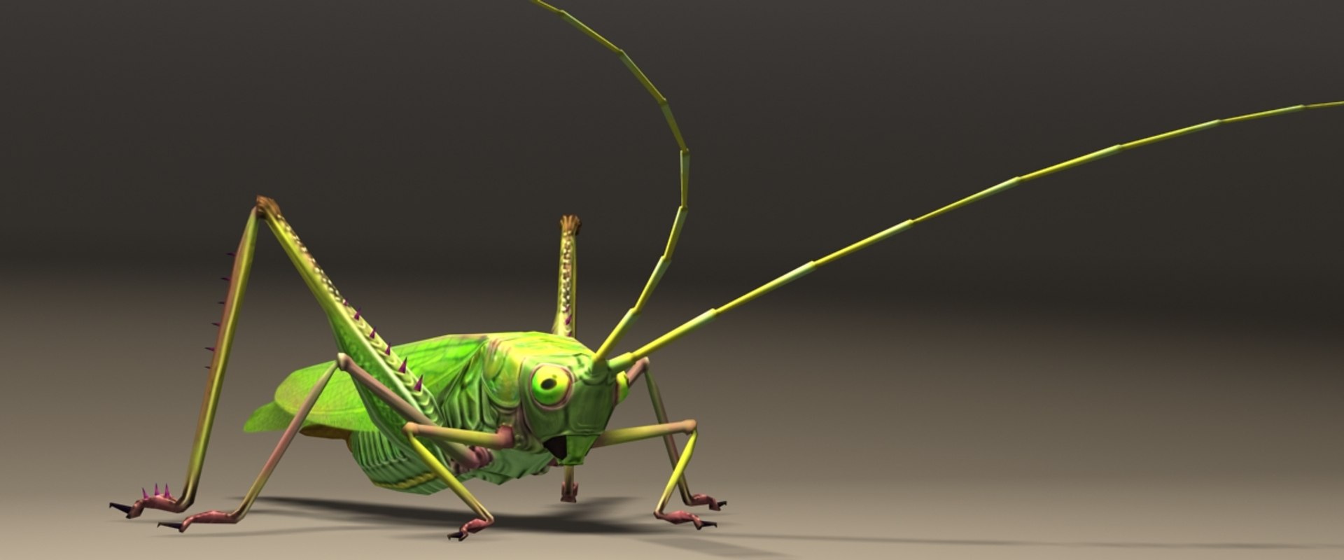 Grasshopper Animals 3D - TurboSquid 1483169