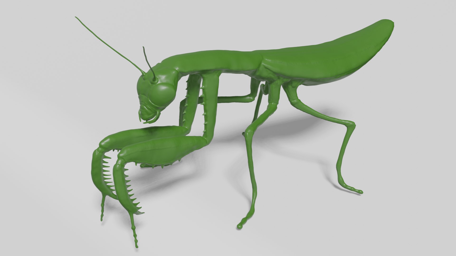 Mantis 3D Model - TurboSquid 1774407