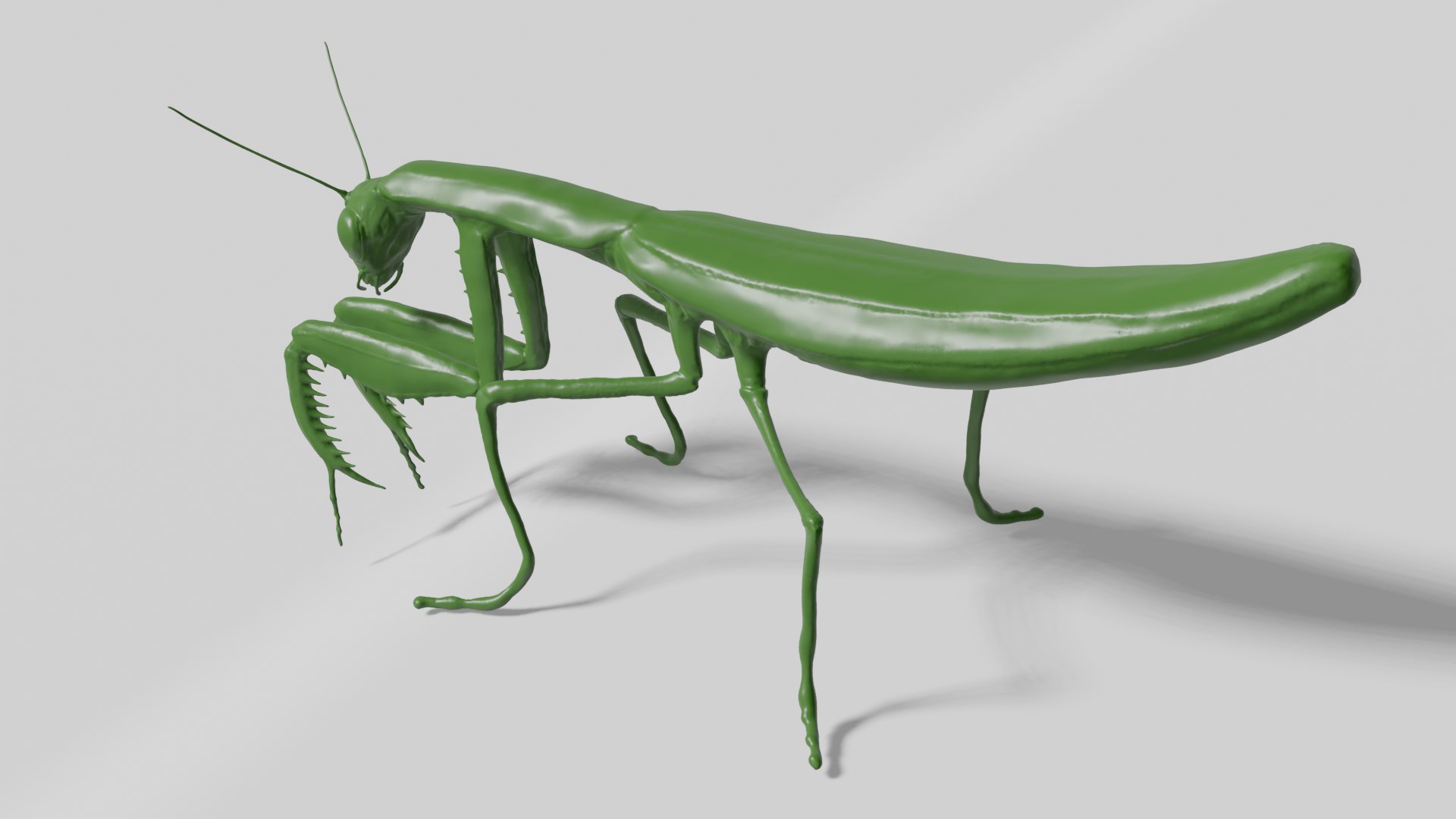 Mantis 3D Model - TurboSquid 1774407