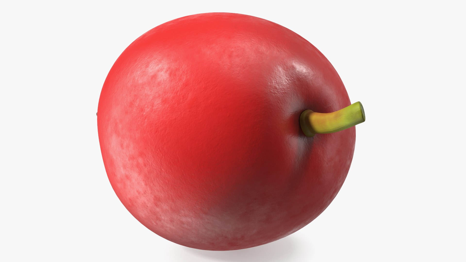 Hawthorn Berry Model - TurboSquid 2190284