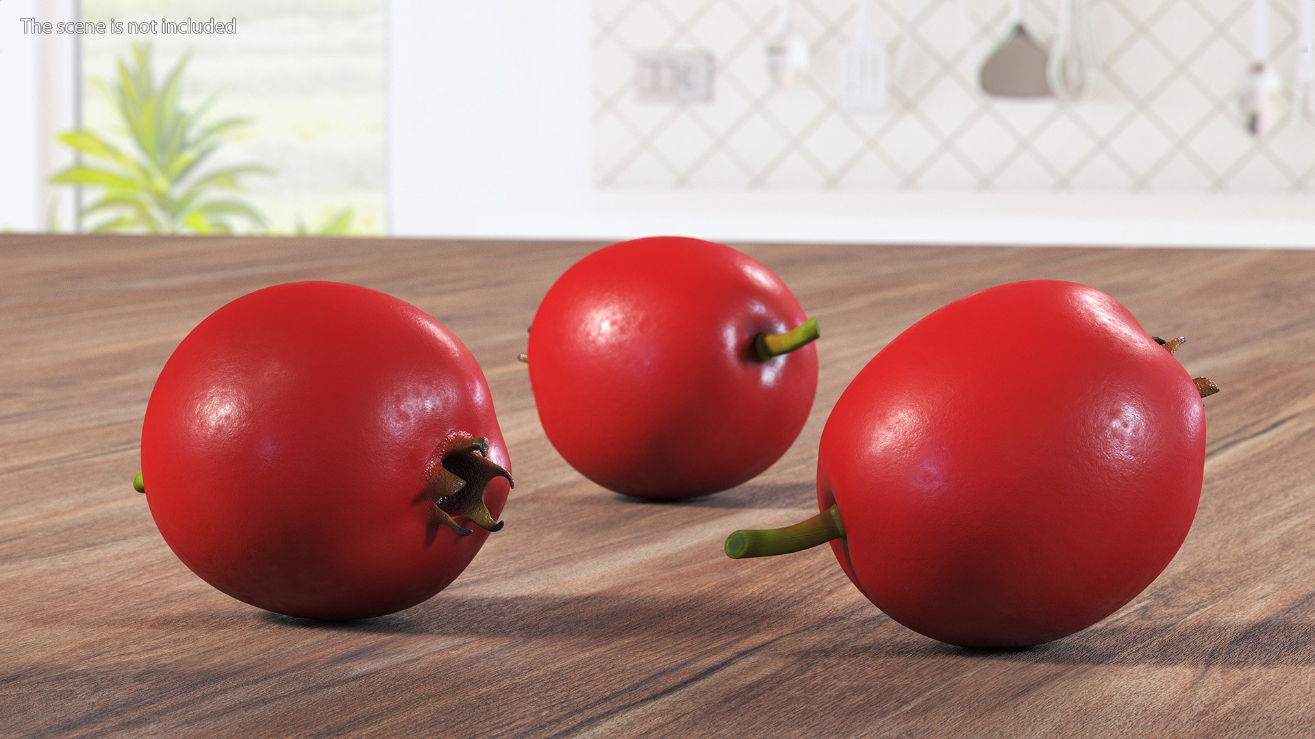 Hawthorn Berry Model - TurboSquid 2190284