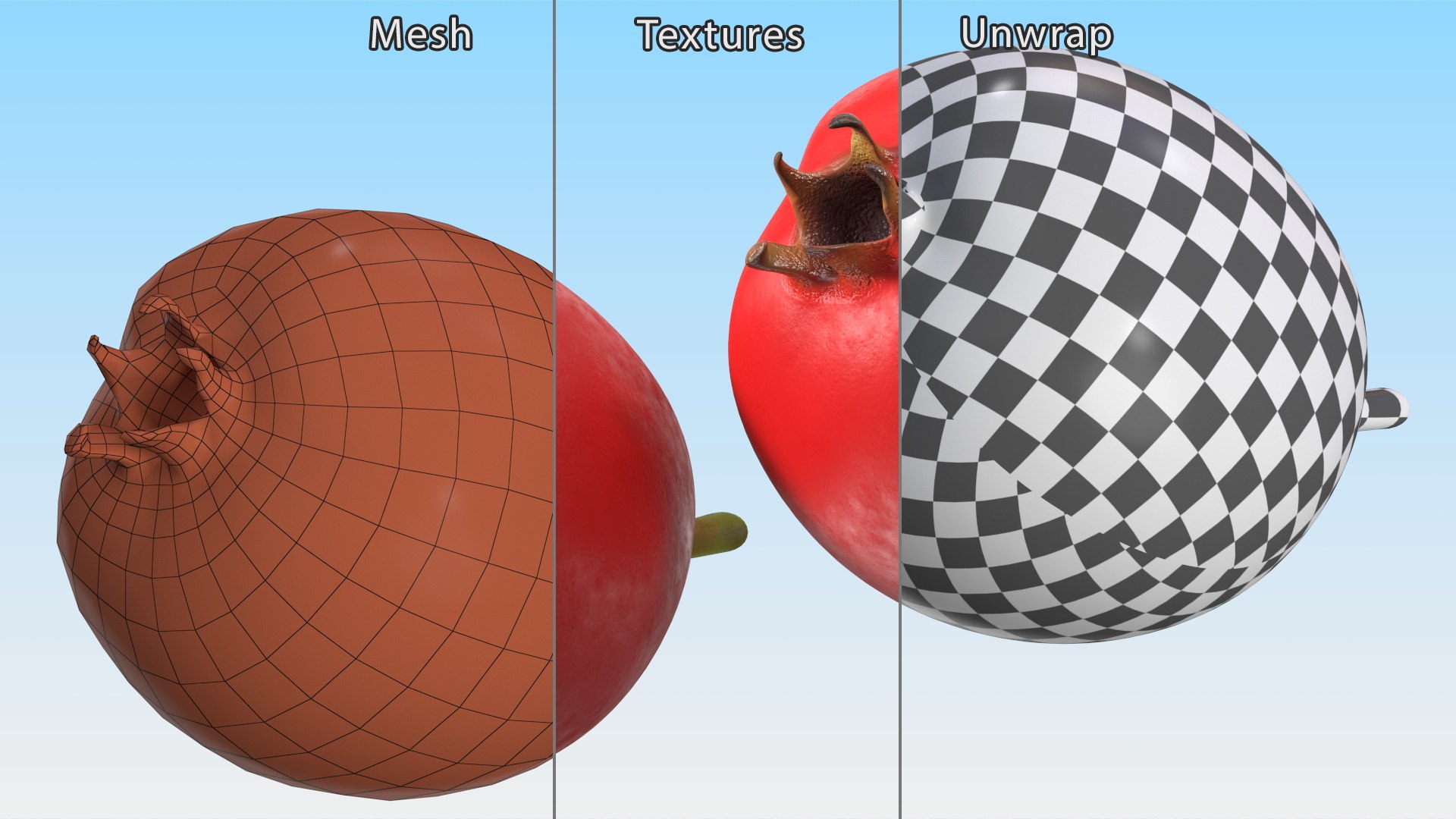 Hawthorn Berry Model - TurboSquid 2190284