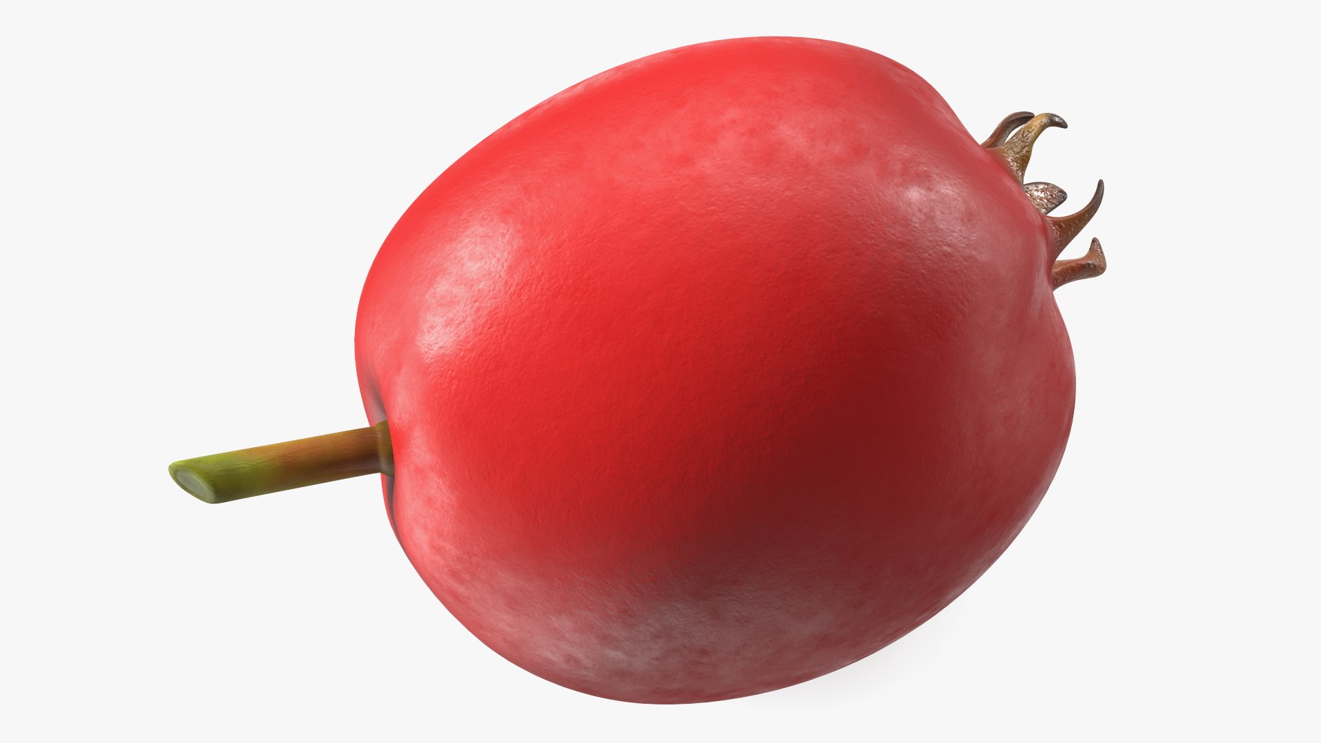Hawthorn Berry Model - TurboSquid 2190284